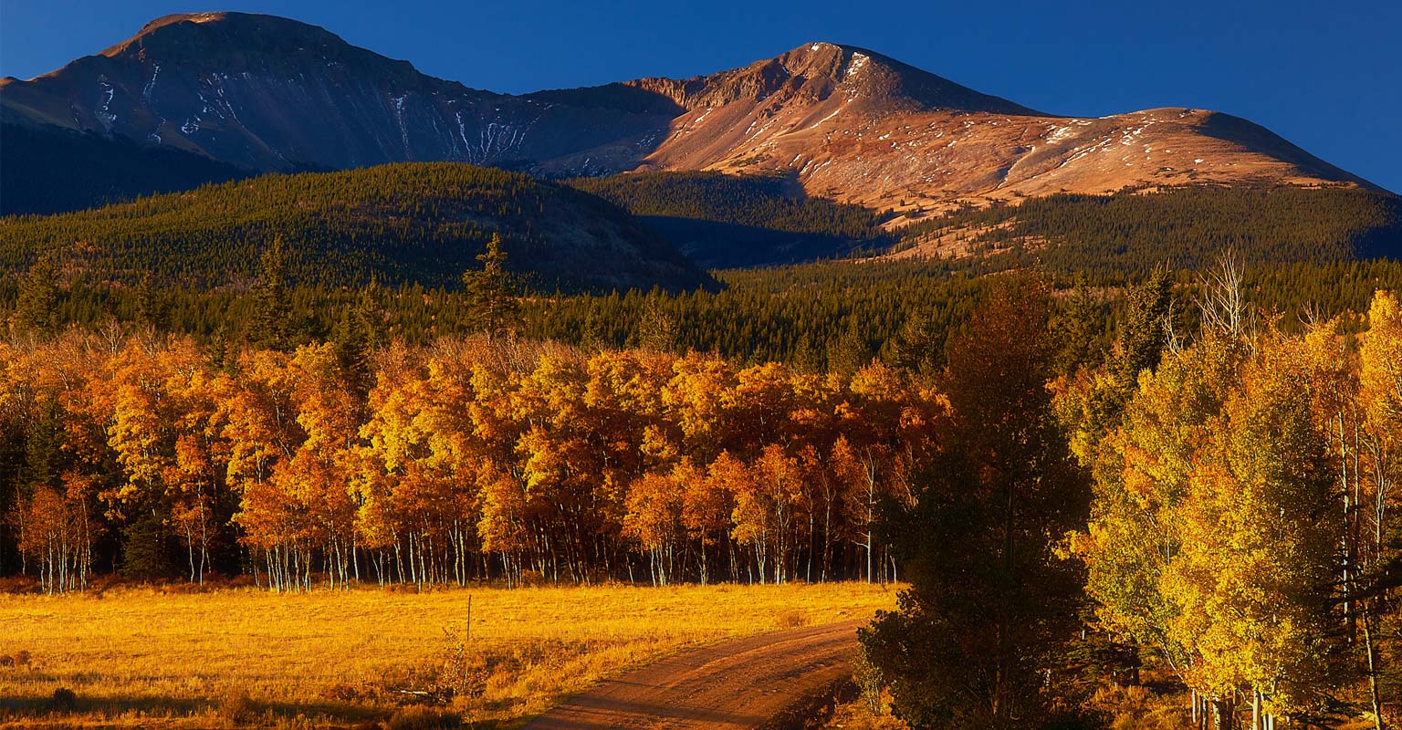 6 Fall Color Day Trips Near Denver Not to Miss - Les Schwab